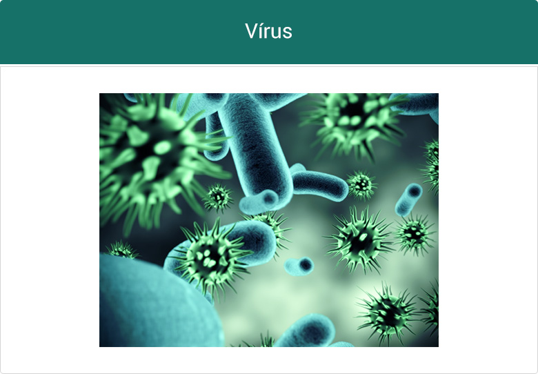 DST | Doenças Sexualmente Transmissíveis | 121doc Portugal